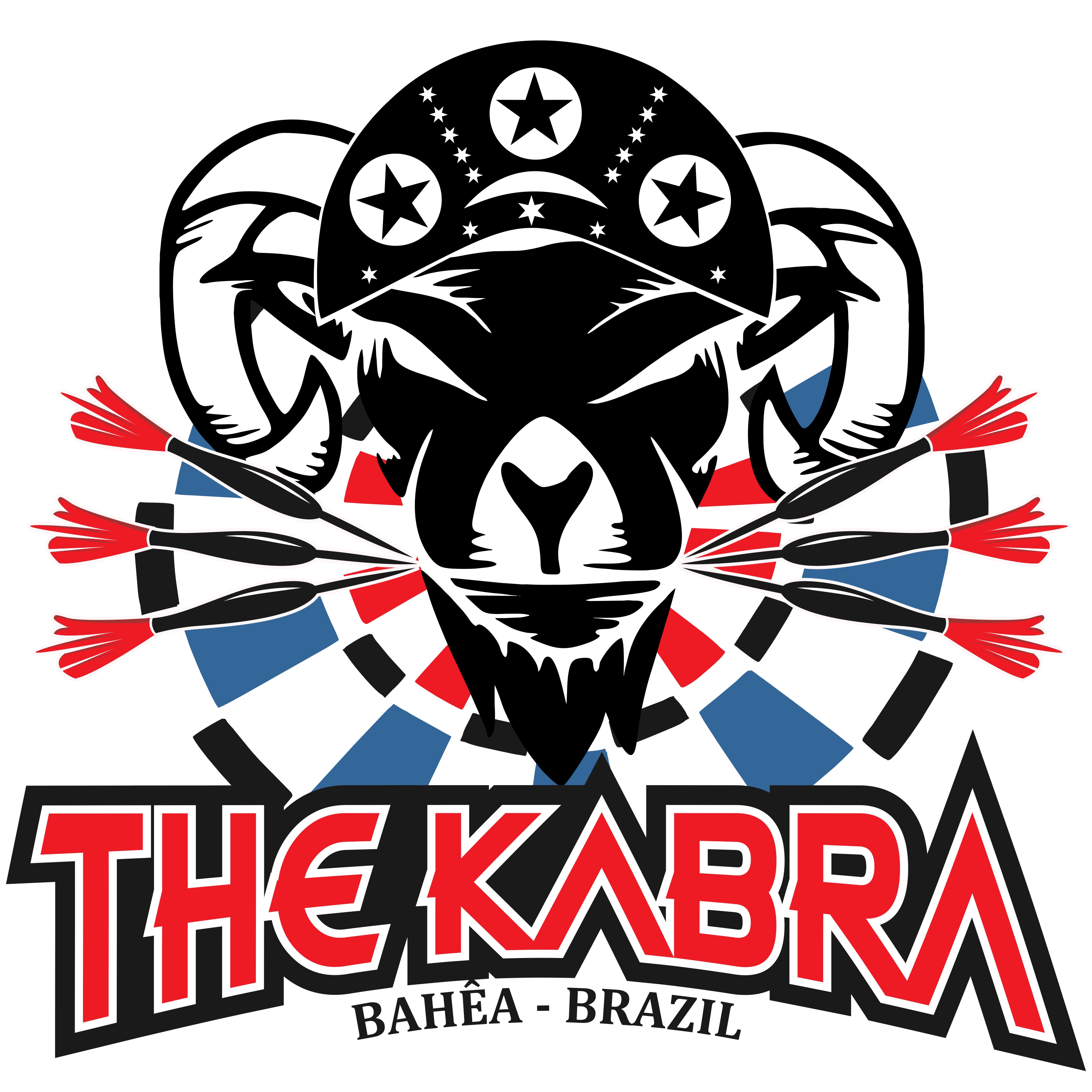 How do I use obs with webcam darts to get a better picture